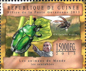 Stamp: Chiloloba acuta (Guinea(The Animals - Beetles (2013)) Mi:GN 9785