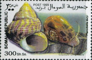 Stamp: Shells "Planorbella duryi / Gibbula divaricata" (Somalia ...