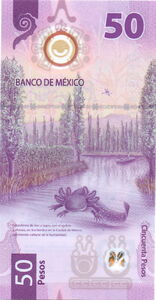 Banknote: 50 Pesos (Mexico(2017-2022 "Historical Identity and Natural ...