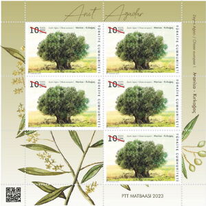 Timbre: Olive Tree (Olea europaea), Kırkağaç (Turquie(Monumental Trees ...