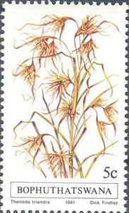 Stamp: Themeda triandra (Bophuthatswana(Local Plants) Mi:ZA-BP 80,Sn:ZA ...
