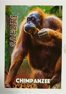 Game Card: Safari - Chimpanzee (Safari(Safari)