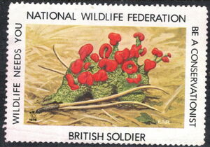 Stamp: British Soldier (United States of America: Cinderella Stamps ...