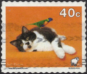 Stamp: Cats and Dogs. Bird on Cat (New Zealand: Private Post Offices ...