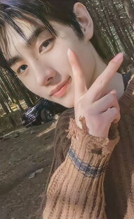 Game Card: BORDER: DAY ONE weverse pob (Kpop(ENHYPEN) Col:KPOP-ENH-BRDO ...