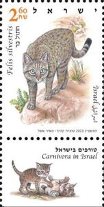 Stamp: Wildcat (Felis sylvestris lybica) (Israel(Carnivorous Animals of ...