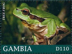 Stamp: Tree frog (Gambia(Frogs (2021)) Sn:GM 3939c,Yt:GM 6259