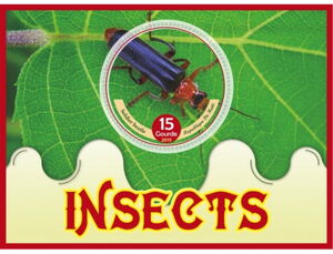 Stamp: Fauna Insects (Haiti: Illegal StampsCol:HT 2019-11/4