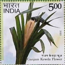 Stamp: Kewda Flower, Ganjam (India(Agricultural Products) Yt:IN 3523 ...