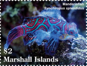Stamp: Mandarinfish (Synchiropus splendidus) (Marshall Islands ...
