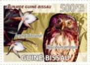 Stamp: Glaucidium perlatum - Aerangis fastuosa (Guinea-Bissau(Fauna ...