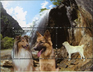Stamp: Collie and German Shepherd (Canis lupus familiaris) (Uzbekistan ...