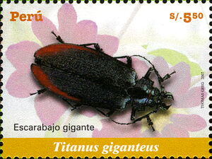 Sello: Titan Beetle (Titanus giganteus) (Perú(Big Beetles from the East ...