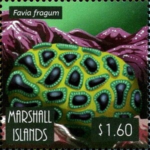 Stamp: Favia fragum (Marshall Islands(Corals (2022)) Mi:MH 4498,Sn:MH ...