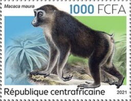 Sello: Moor Macaque (Macaca maura) (República Centroafricana(Monkeys ...