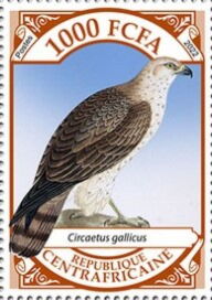 Stamp: Circaetus gallicus (Central African Republic(Birds of Prey (2022 ...