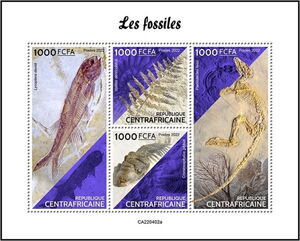 Stamp: Fossils (Central African Republic(Fossils (2022.1)) Yt:CF 9276-9279