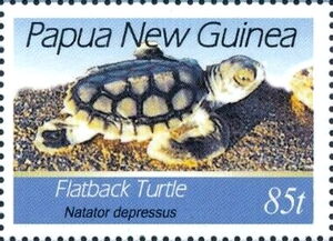 Stamp: Flatback Turtle hatchling (Papua New Guinea(Endangered Sea ...