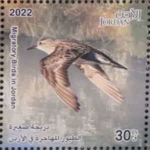 Stamp: Migratory Birds of Jordan (Jordan(Migratory Birds of Jordan ...