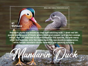 Stamp: Mandarin Duck (Tuvalu(Mandarin Duck (2023)) Yt:TV BF335