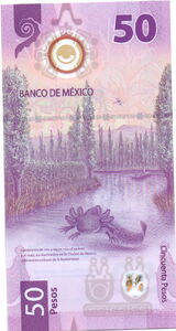 Banknote: 50 Pesos (Mexico(2017-2022 "Historical Identity and Natural ...