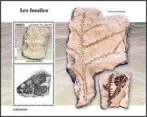 Stamp: Fossils (Djibouti(Fossils (2022:3)) Mi:DJ BL1869,Yt:DJ BF1000 ...
