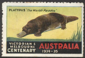 Stamp Platypus The World S Paradox Australia Cinderella Stamps