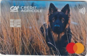 Bank Card: Dog (Credit Agricole Bank Polska, PolandCol:PL-MC-0802