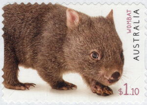 Stamp: Wombat (Vombatus ursinus) (Australia(Australian Fauna (2019)) Mi ...