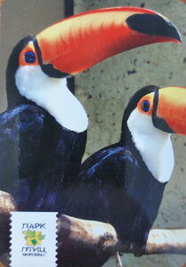 Pocket Calendar: Toucans (Russia(Bird Park) Col:RUS-2022-Bird-004.06