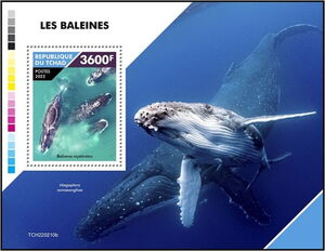 Stamp: Balaena mysticetus (Chad(Whales (2022)) Yt:TD BF753
