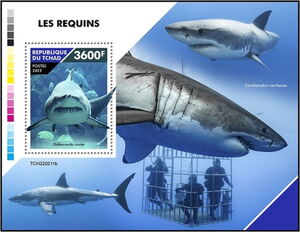 Stamp: Galeocerdo cuvier (Chad(Sharks (2022)) Yt:TD BF754