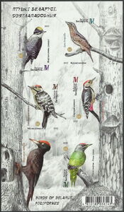Stamp: Birds of Belarus - Piciformes (2022) (Belarus(Birds of Belarus ...