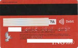Bank Card: Visa (ING Bank Śląski SA, PolandCol:PL-VI-0903