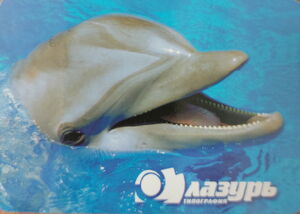 Pocket Calendar: Dolphins (Russia(Animals) Col:RUS-1999-Dolph-001