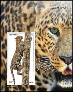 Stamp: Panthera pardus (Sierra Leone(Leopards (2022)) Col:SL 2022-406b1