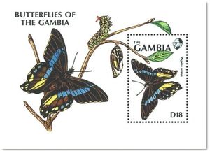 Stamp: Green-banded Swallowtail (Papilio nireus) (Gambia(Butterflies of ...