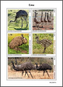 Stamp: Emu (Sierra Leone(Emu (2022)) Col:SL 2022-637a