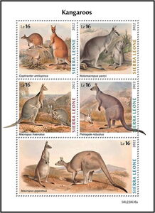 Stamp: Kangaroos (Sierra Leone(Kangaroos (2022.1)) Col:SL 2022-638a