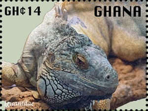 Stamp: Iguanidae (Ghana(Iguanas (2023)) Col:GH 2023.04.13-07d