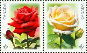 Stamp: Konrad Henkel & 'Maid of Honour (Canada(Roses) Sn:CA 2727i