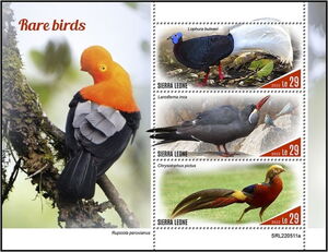 Stamp: Rare Birds (Sierra Leone(Rare Birds (2022)) Col:SL 2022-511a