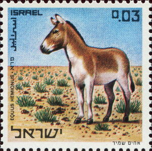 Postzegel: Syrian Wild Ass (Equus hemionus hemippus) (Israël ...