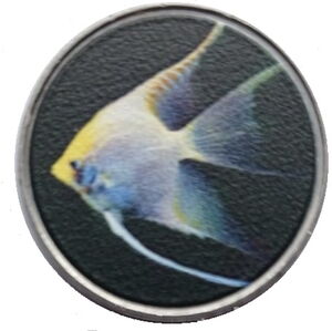 Moneda: 2 Patacas (Tropic Fish) (Fantasía, Emisiones(TAIPA Island (Macau))