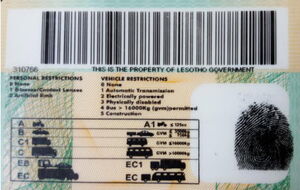 Functional Card: Driving Licence - Kingdom of Lesotho (Driving Licences ...