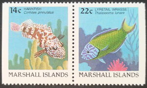Stamp: Hawkfish (Cirrhites pinnulatus), Lyretail Wrasse (Thalassoma ...