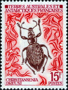 Stamp: Weevil (Christiansenia dreuxi) (French Southern and Antarctic ...