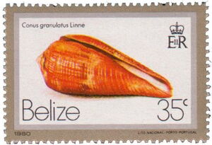Stamp: Glory-of-the-Atlantic Cone (Conus granulatus) (Belize(Shells ...