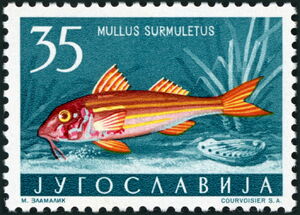 Stamp: Striped Red Mullet (Mullus surmuletus) (Yugoslavia(Adriatic Sea ...