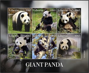 Stamp: Giant Panda (Liberia(Pandas (2022)) Col:LR 2022-412a